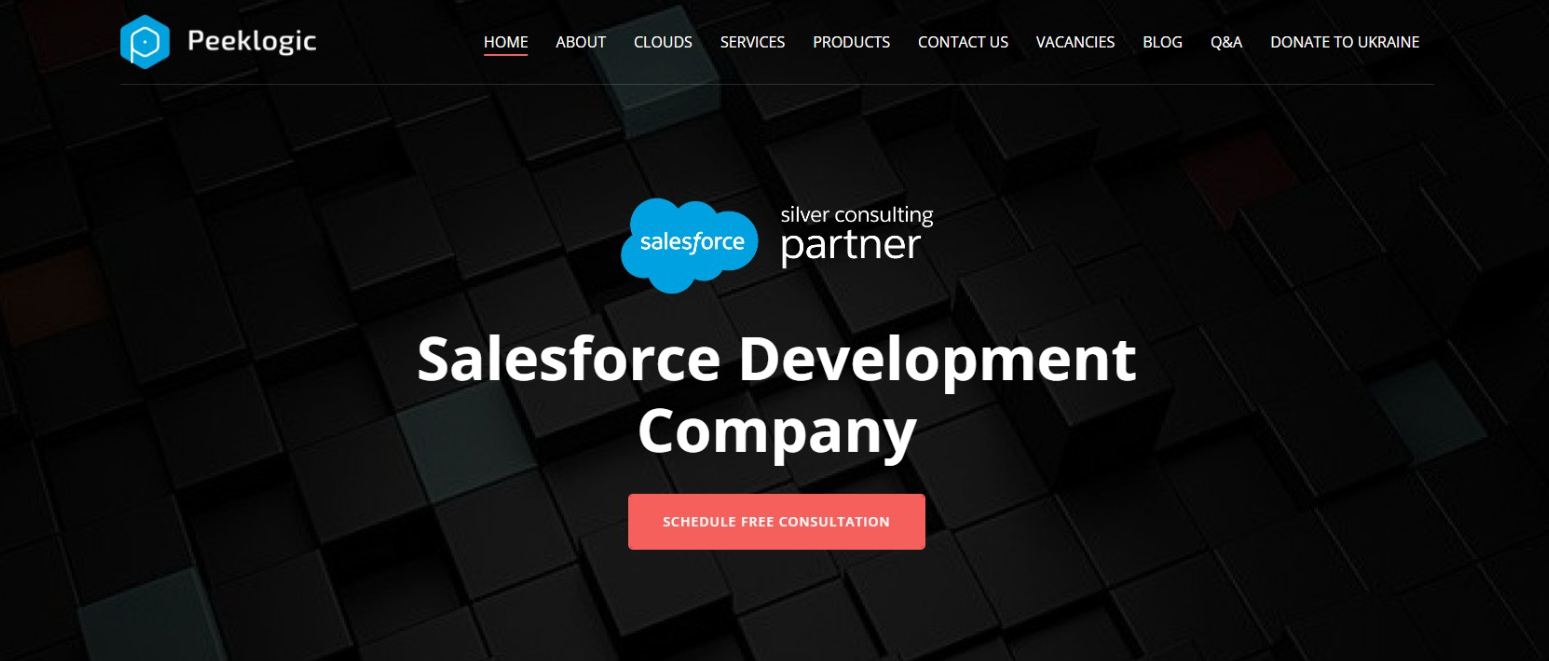 Top 15 Salesforce Development Companies - Rikkeisoft - Trusted IT Solutions Provider